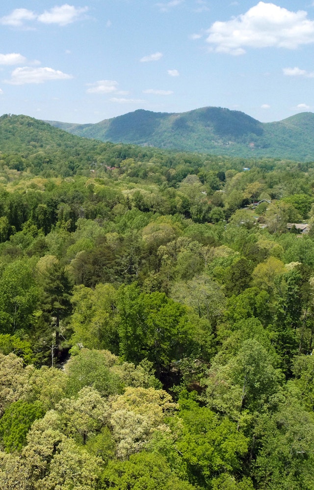 Saluda Grade Rail Trail | Partners in SC & NC