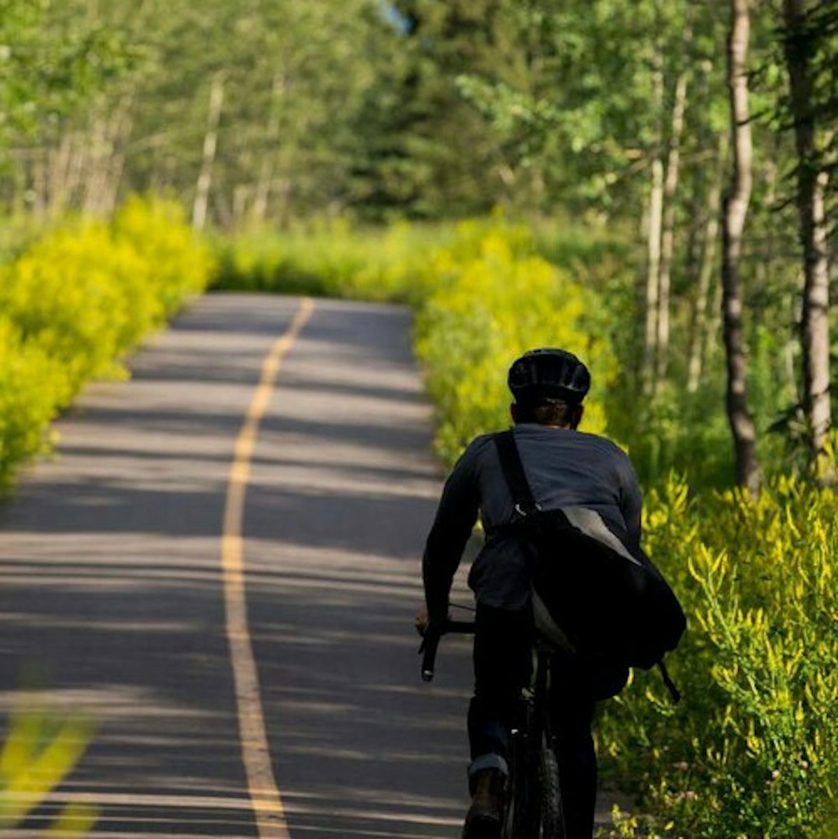 Saluda Grade Rail Trail | Partners in SC & NC