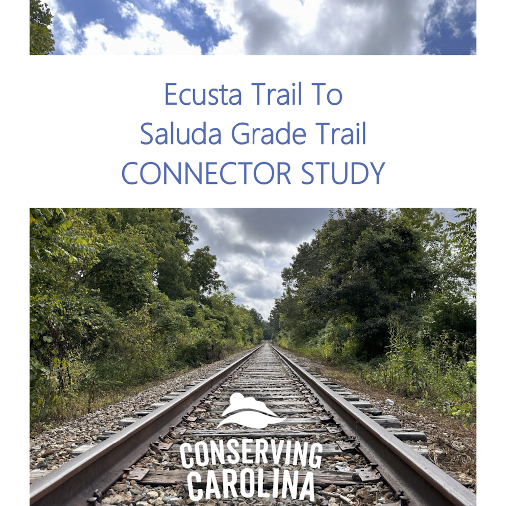 Saluda Grade Project Planning