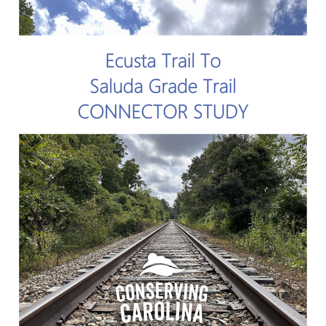 Saluda Grade Project Planning